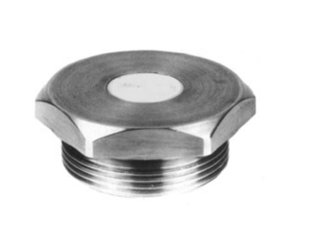Aluminum plug with external hexagon 1 BSPP